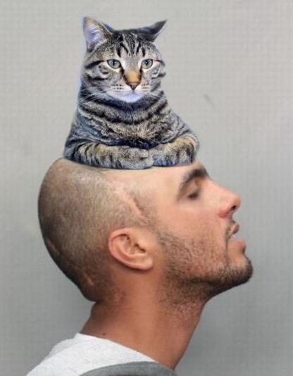 Man with half a skull is heading for Canvas meme glory