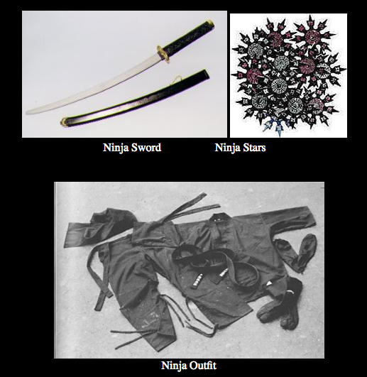 14 years ago, Real Ultimate Power taught us everything we know about ninjas