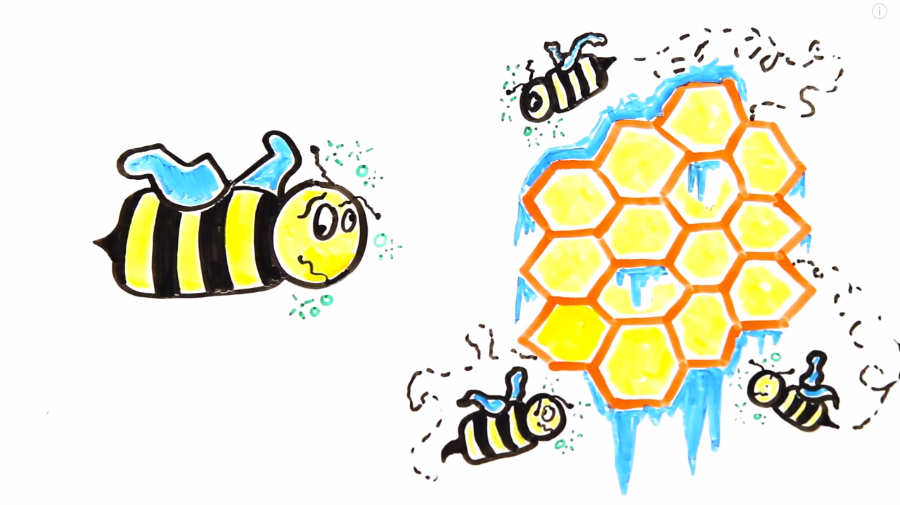 Why we'd never want to live in a world without bees