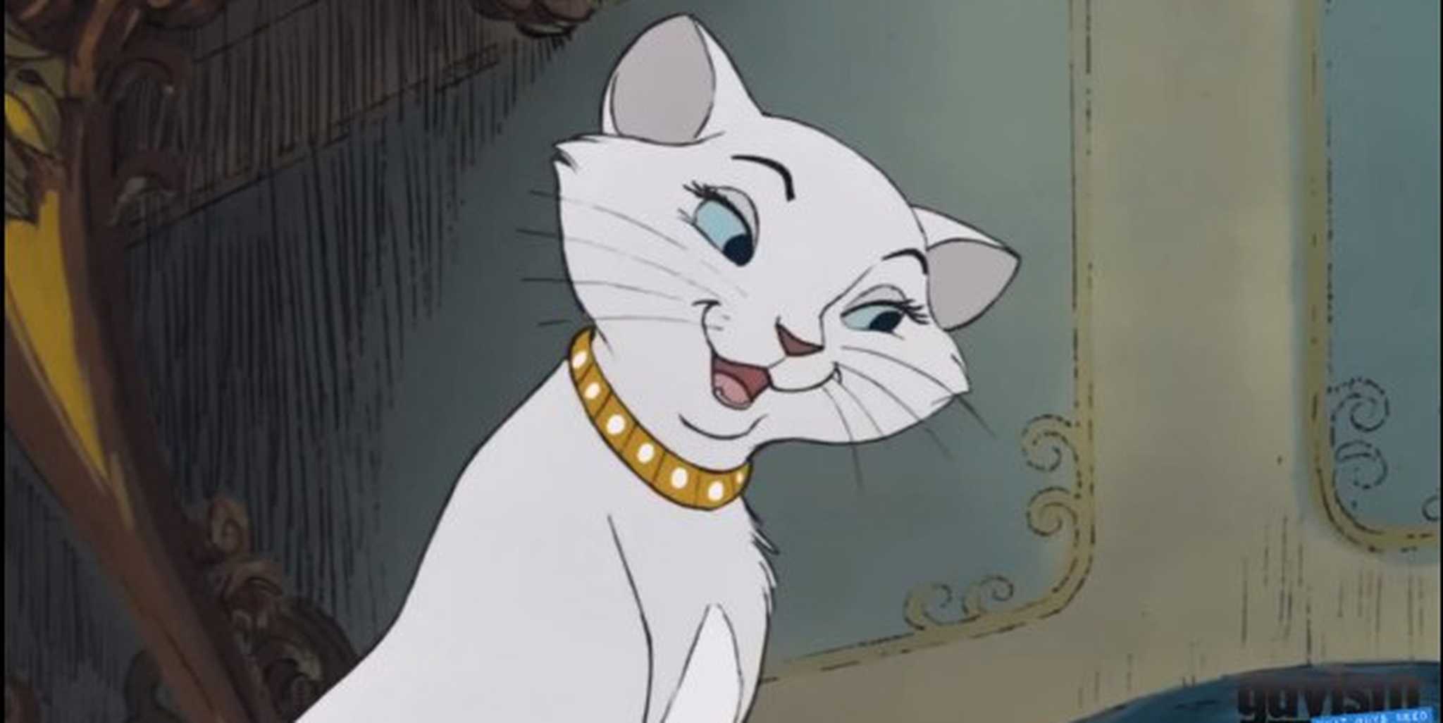 YouTube Guide: "The Great Catsby" - The Daily Dot