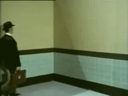 The Ministry of Silly Walks - Hide5 Politics