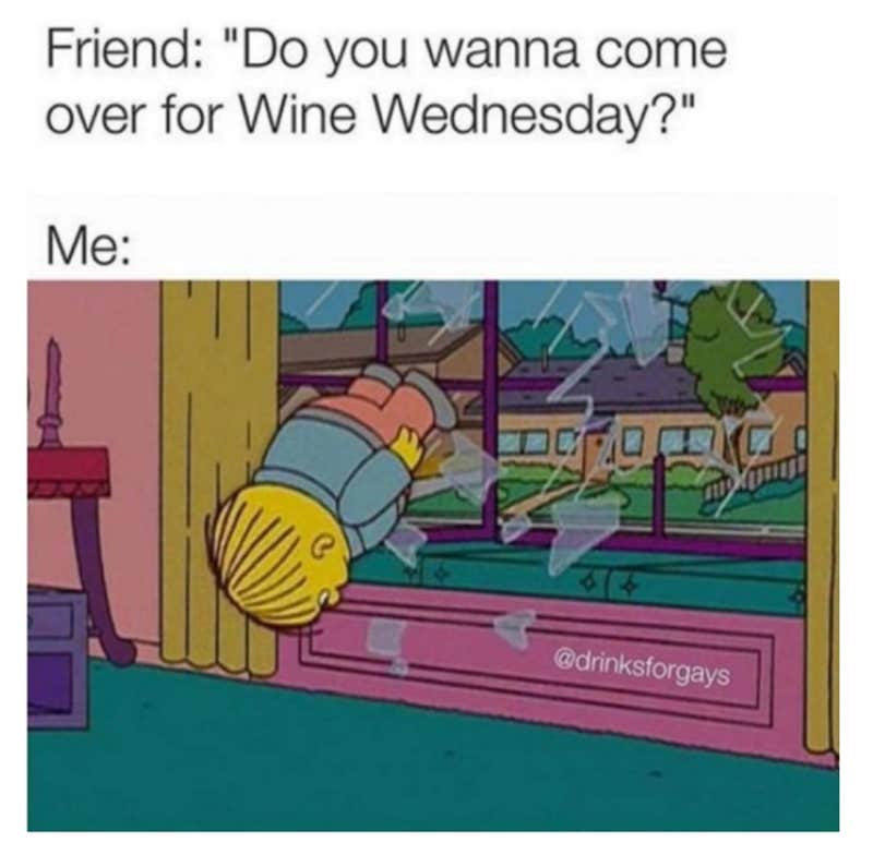 20 Funny Wine Memes if You Love Wine and Need a Drink | Daily Dot