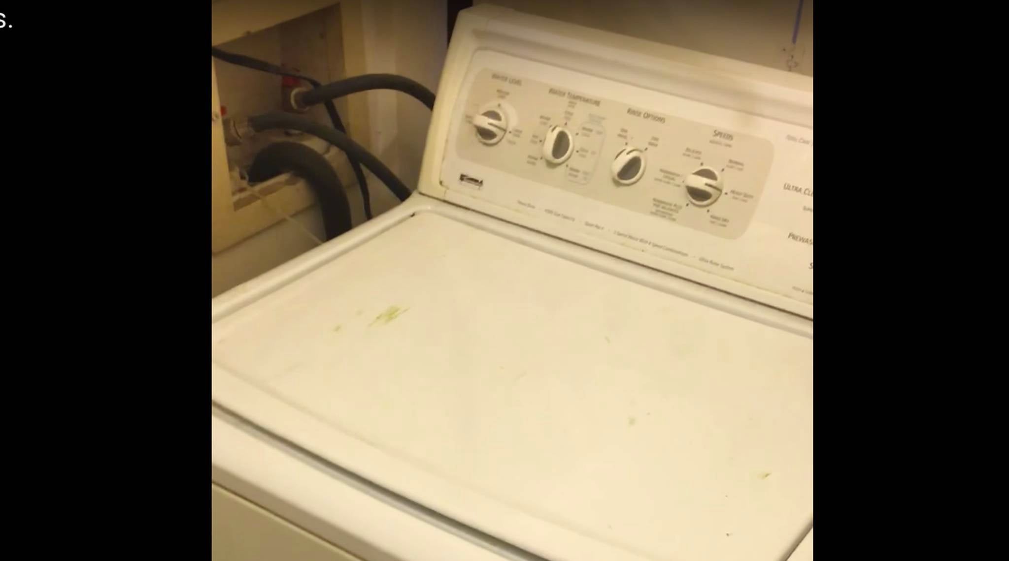 Lonely Man Finds the Perfect Use for His Busted Laundry Machine