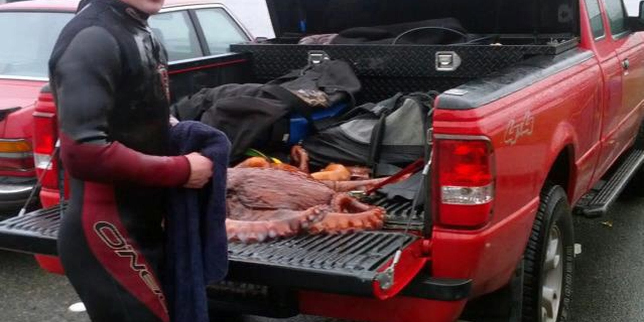 Divers cause Facebook outrage by hunting and killing octopus - The ...