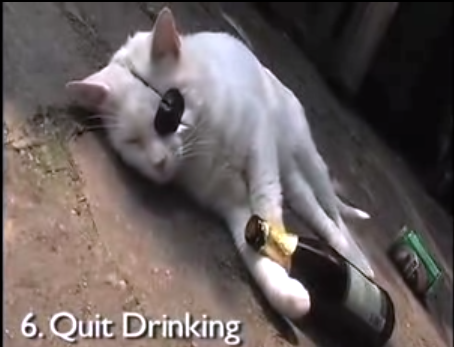 YouTube Guide: New Year's resolutions, illustrated by cats