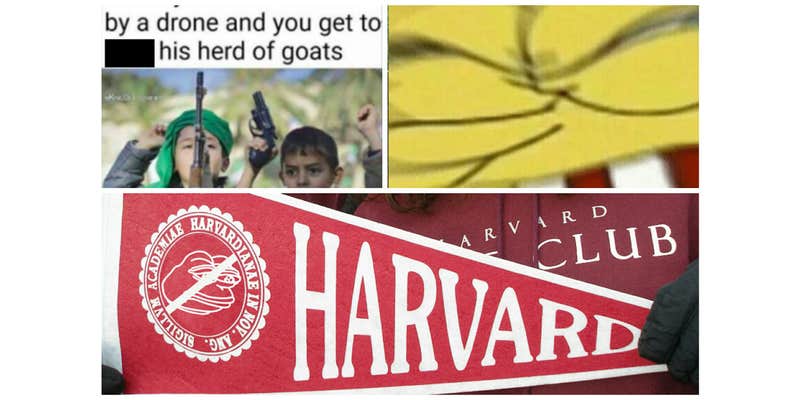 Harvard Meme Teens Learn That Meme Culture Doesn't Reflect Real Life