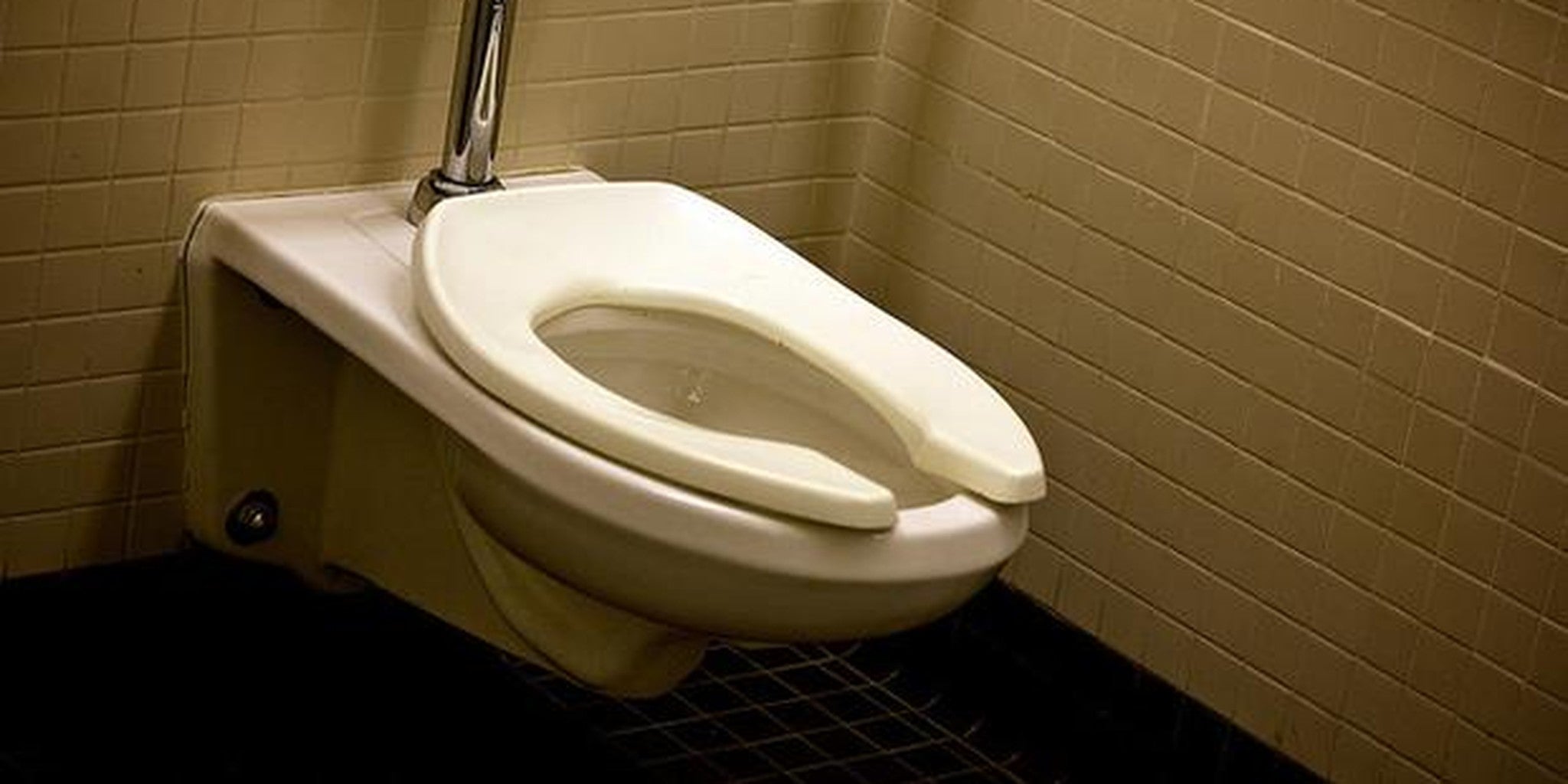 This is the only app you need to celebrate World Toilet Day