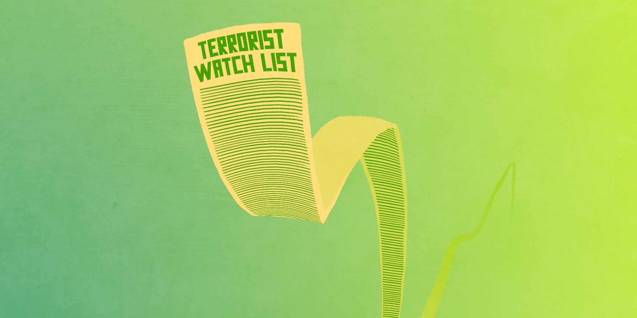 What is the terrorist watch list?