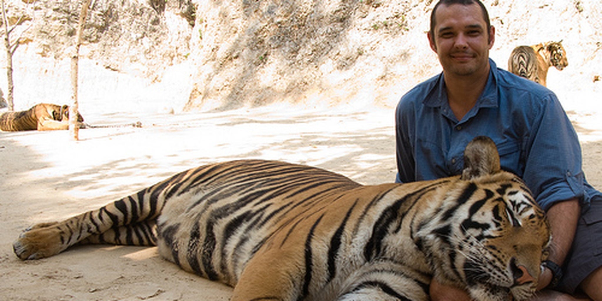 Colbert has a hilarious solution for the tiger selfie ban