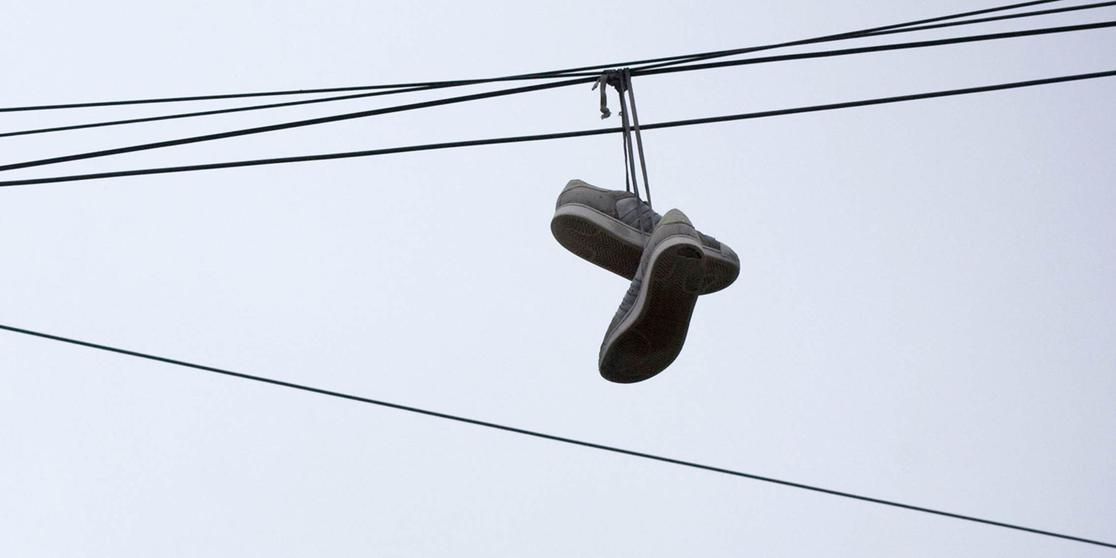 A Portland Dildo Driving Tour The Daily Dot