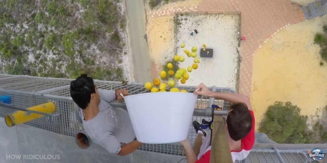 Video: How Ridiculous YouTubers Try To Catch Produce After a 150-Foot Fall