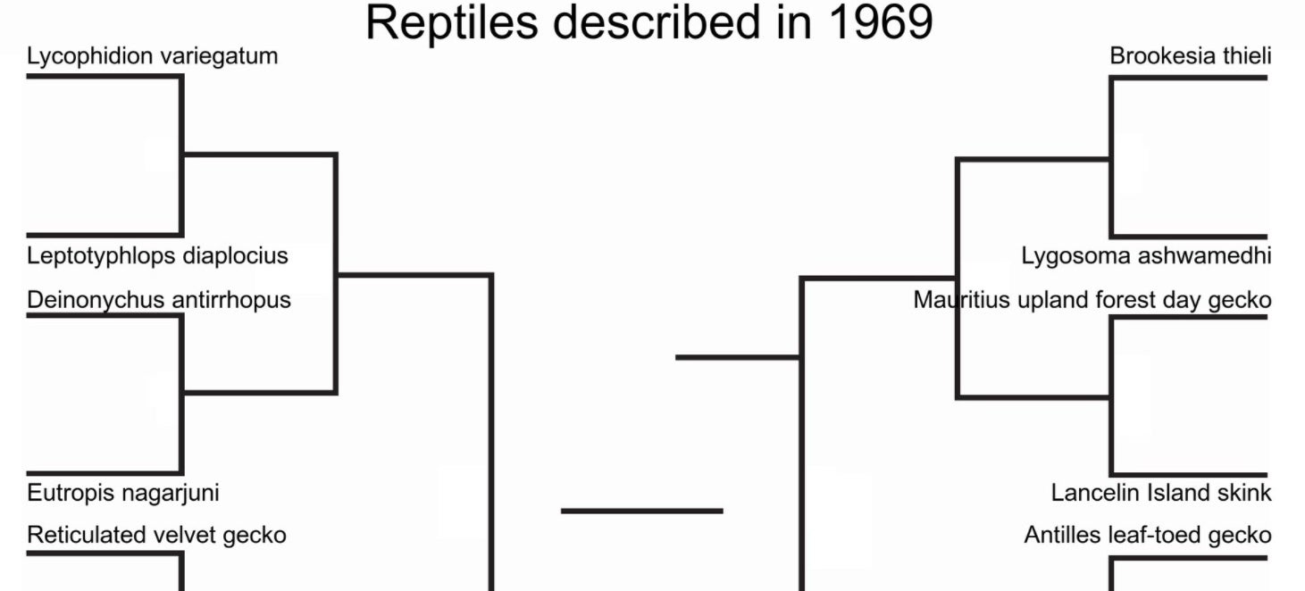 This Twitter Bot is Making March Madness Bracket Memes