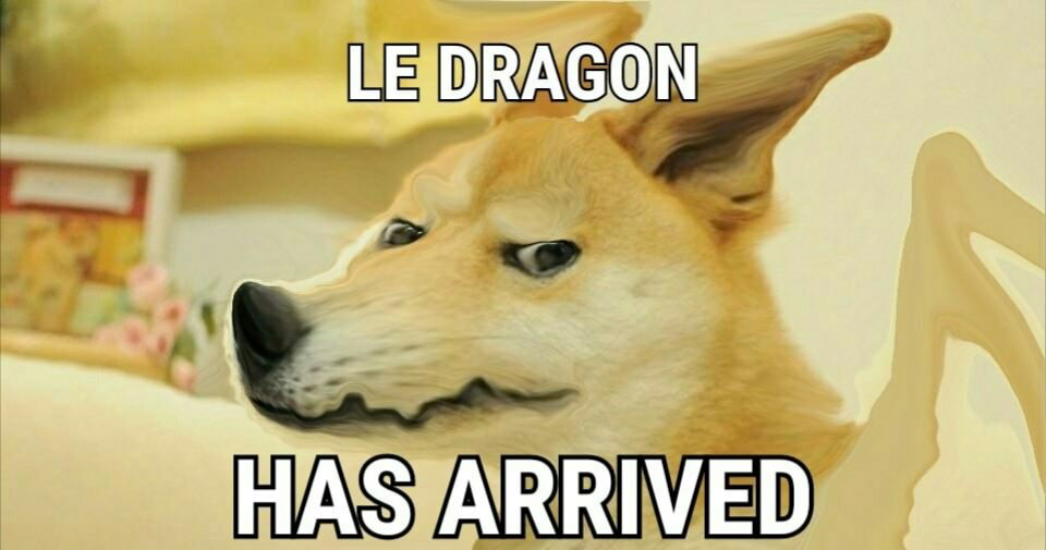 The Doge Meme is Back—And This Time it's Liquified