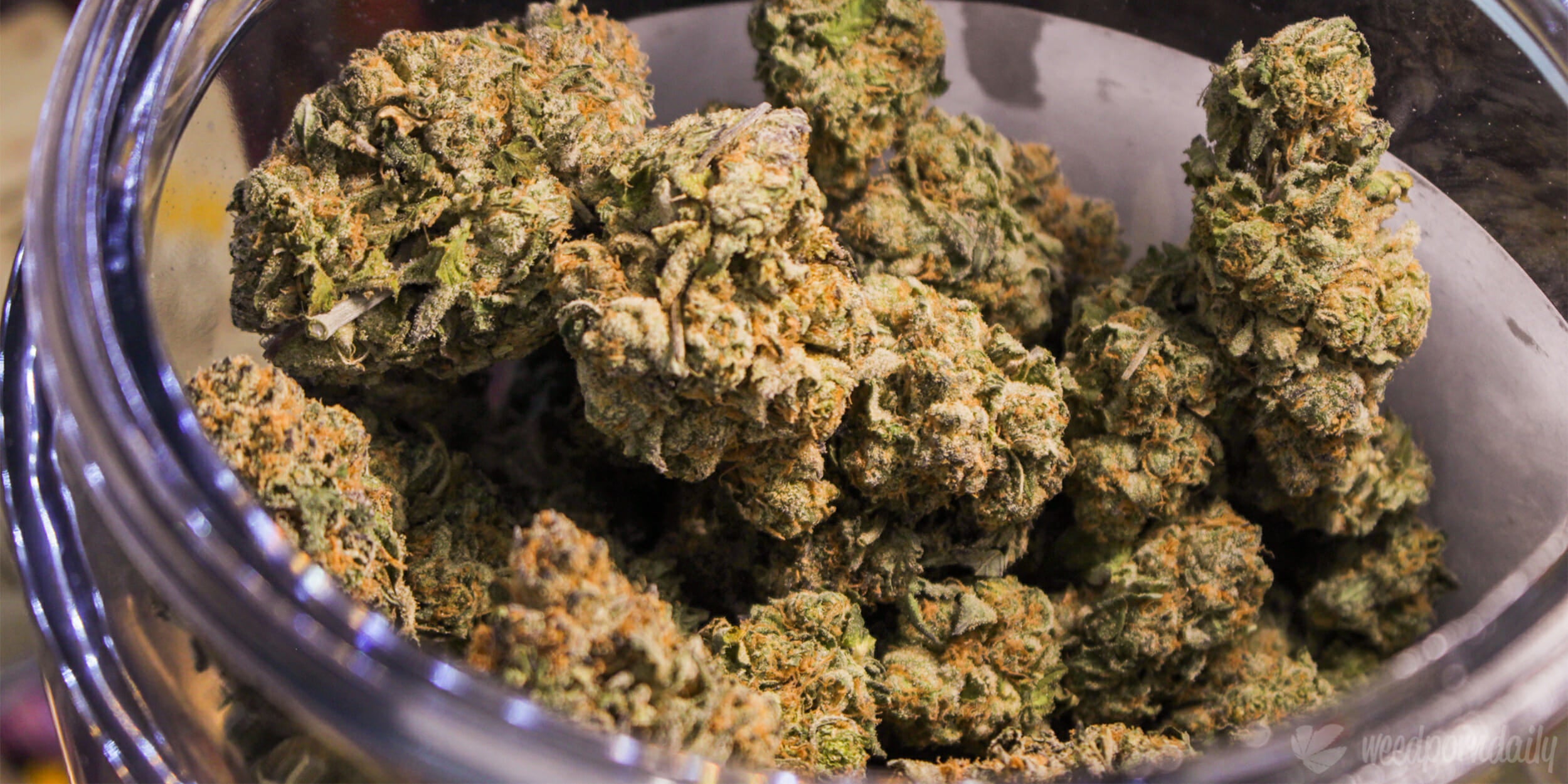 Twitter Lights Up With Hilarious 4/20 Tweets Honoring Weed Holiday