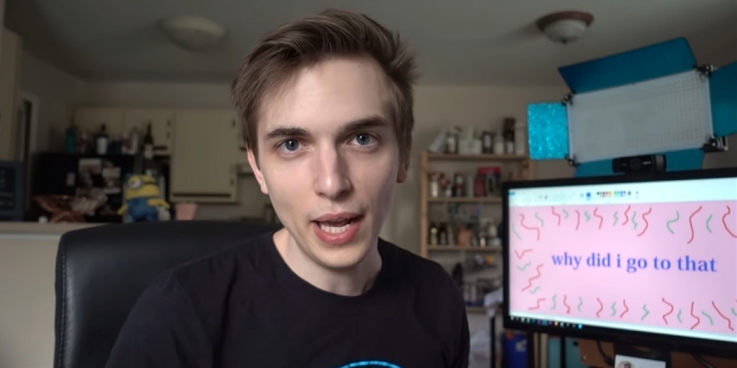 YouTuber Attends Jake Paul Concert, Wonders Why