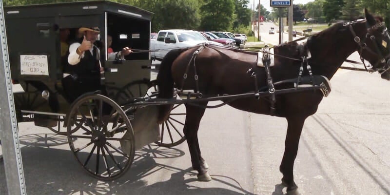 Amish Man iIn Michigan Has Started His Own Horse And Buggy 'Uber' Service