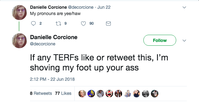 TERF Meaning: What is Trans-Exclusionary Radical Feminism?