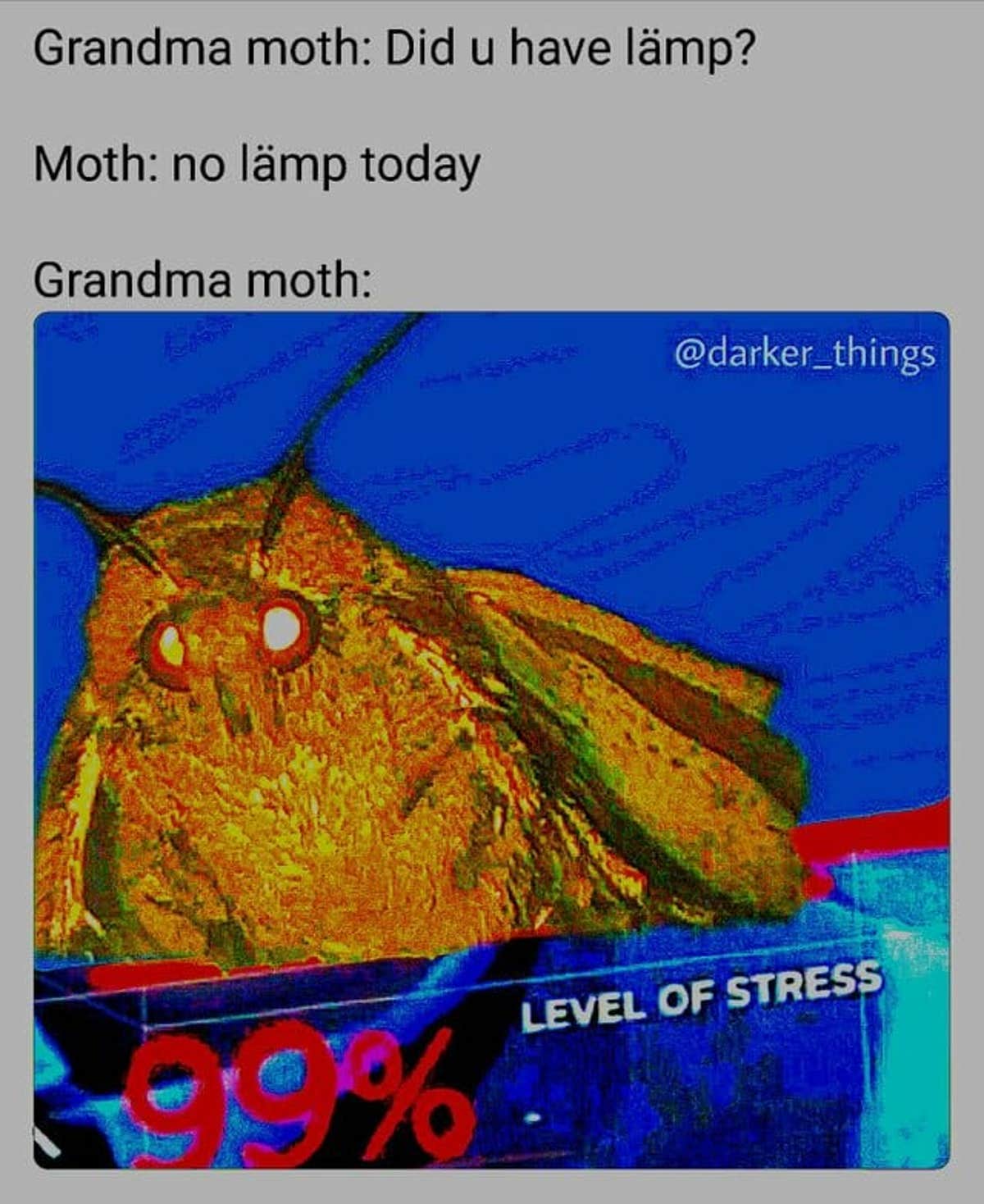 Moth Memes Are Taking Over The Internet: Here Are The Best Ones | Daily Dot