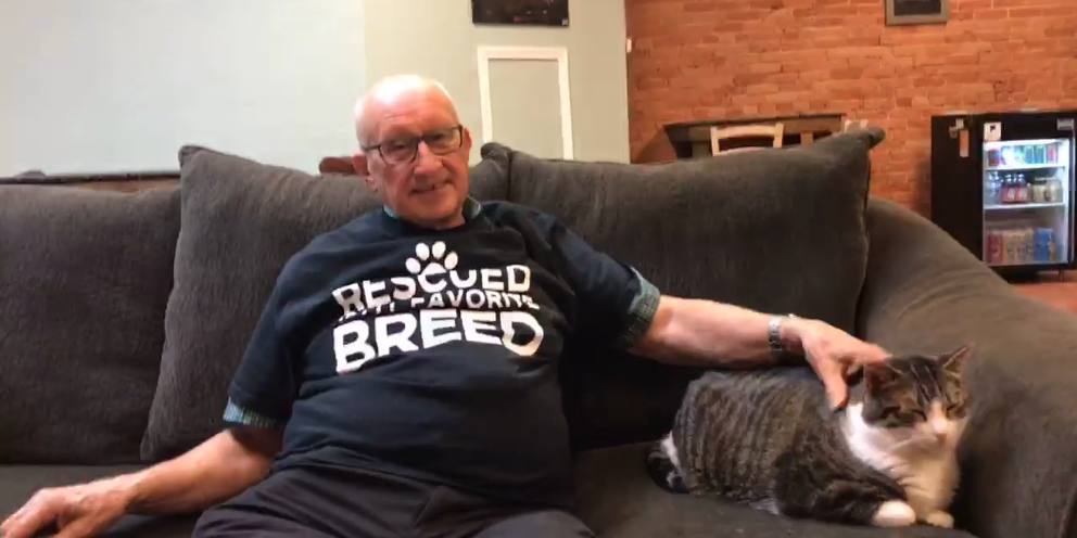 Terry the Cat Grandpa Naps With Cats At His Local Shelter,