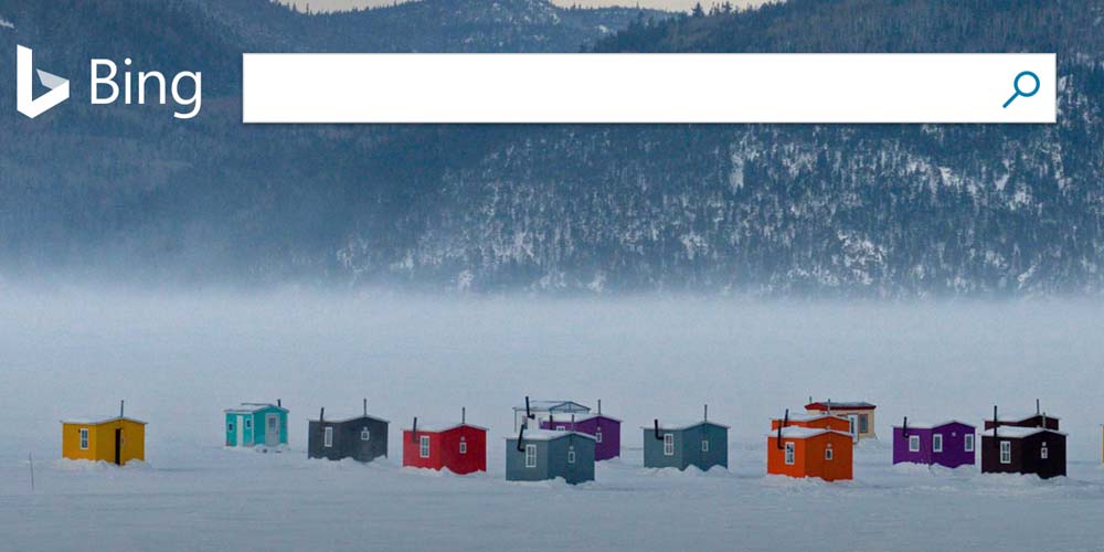 bing | The Daily Dot