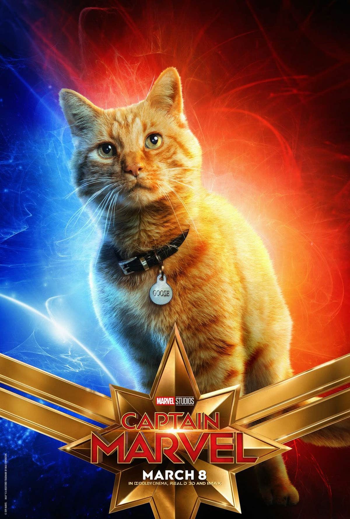 Captain Marvel's Cat Has a Bizarre Comic Book Origin Story