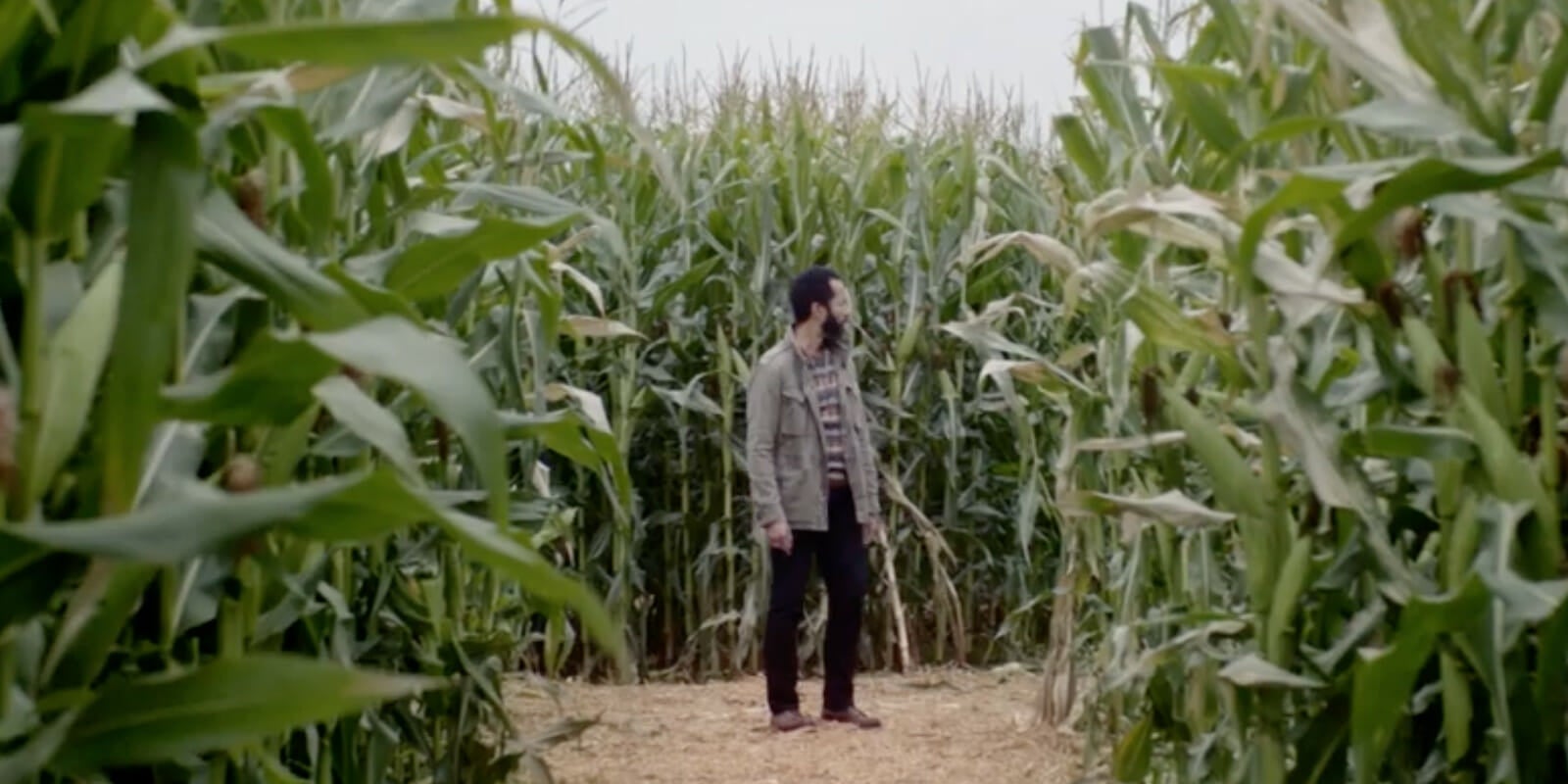 Review: 'Wyatt Cenac's Problem Areas' Returns At the Perfect Moment