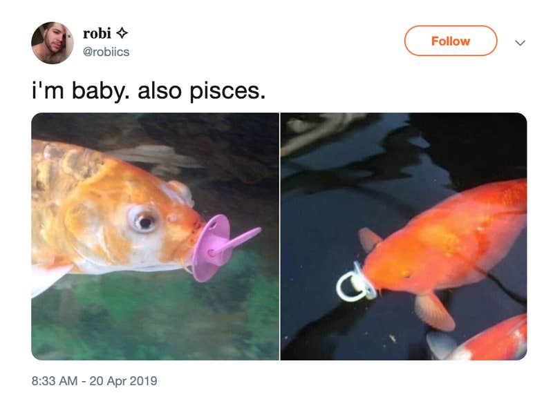 The 'I'm Baby' Meme Is All About Being Comforted