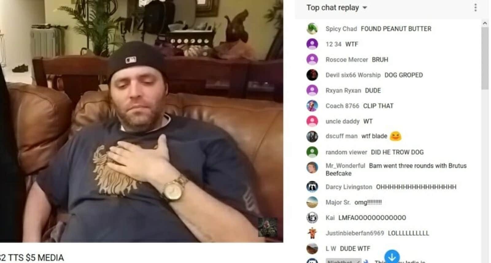 Streamer ONLYUSEmeBLADE Abuses Dog During Broadcast
