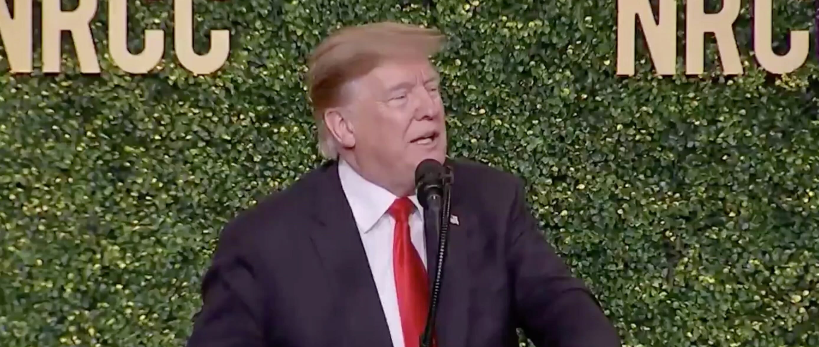 Mercedes Schlapp Can't Answer For Trump's Windmill-Cancer Claim