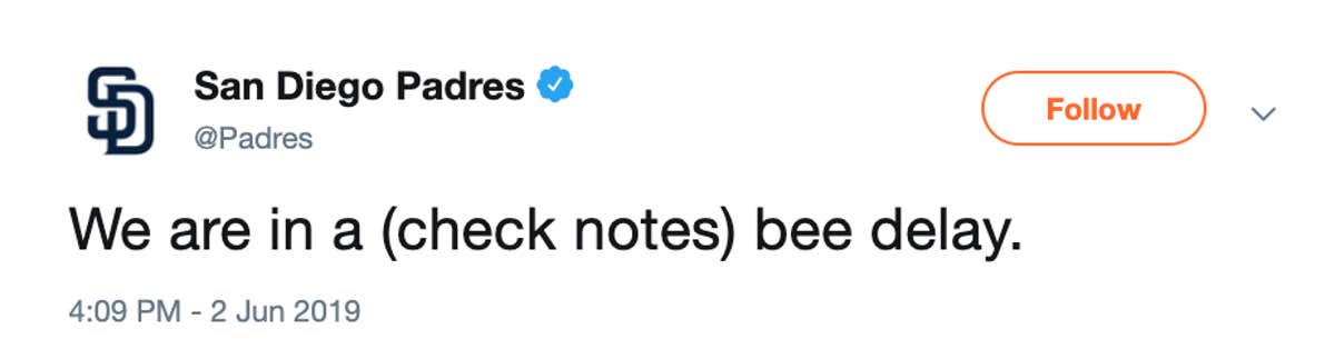 How 'Checks Notes' Became A Sarcastic Meme That Won't Die