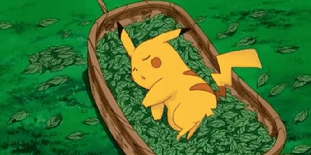 Pokemon Memes - The Daily Dot