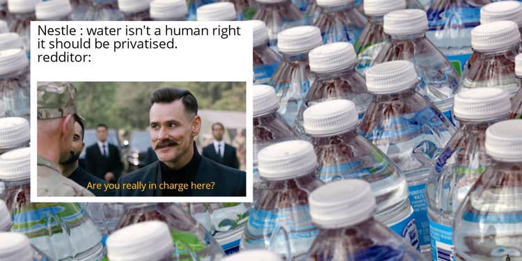 boycotts - The Daily Dot