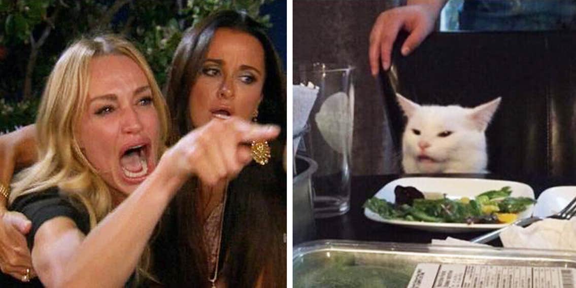 'Woman Yelling At A Cat' is Derived From Two Popular Memes