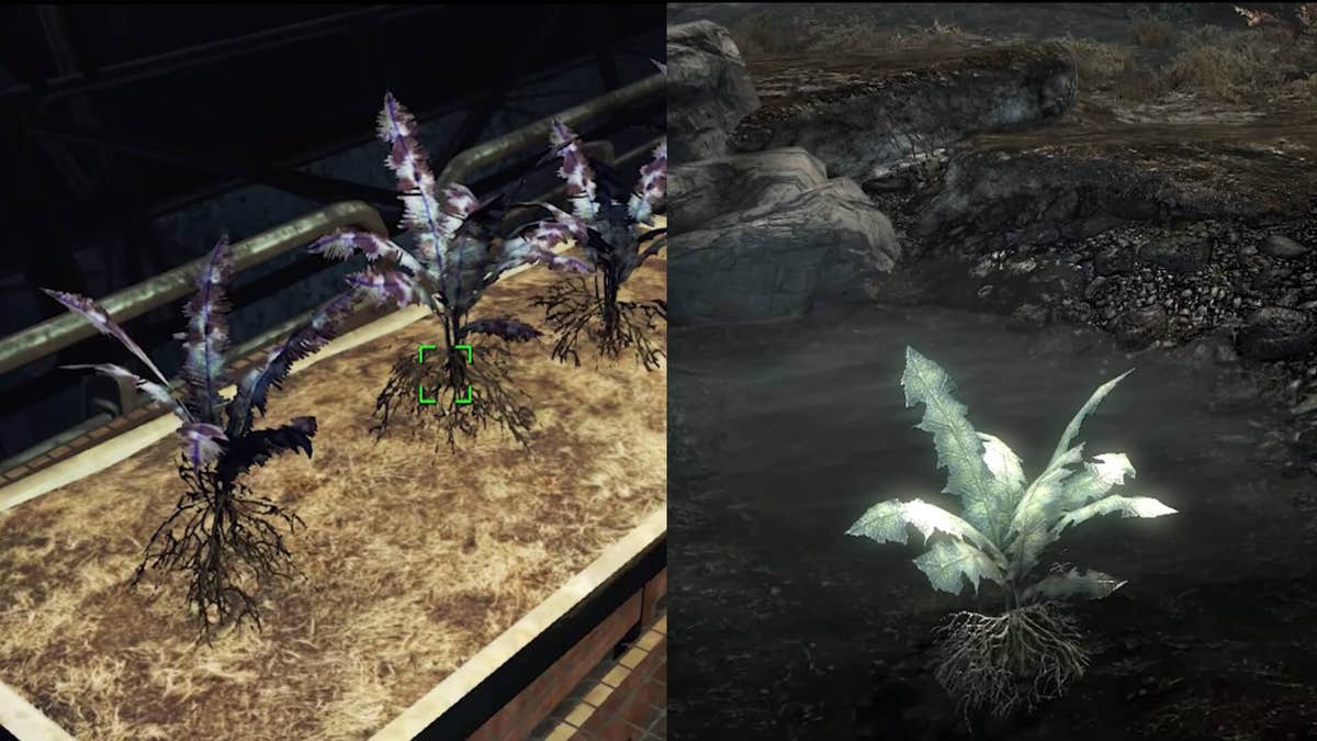 The Best Fallout 4 Secrets, Easter Eggs, Hidden Locations, and More