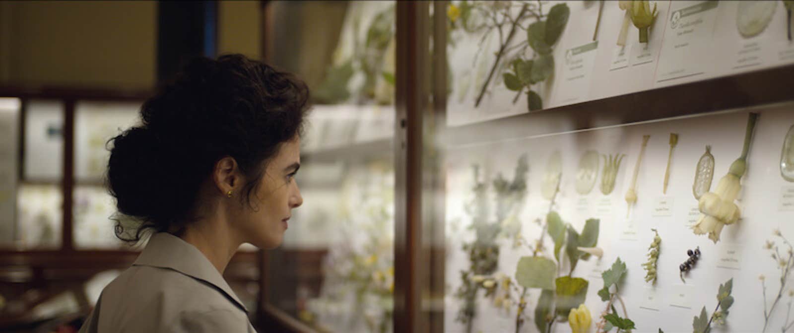 Review: Netflix's 'Abstract: The Art of Design' Season 2 Is Illuminating