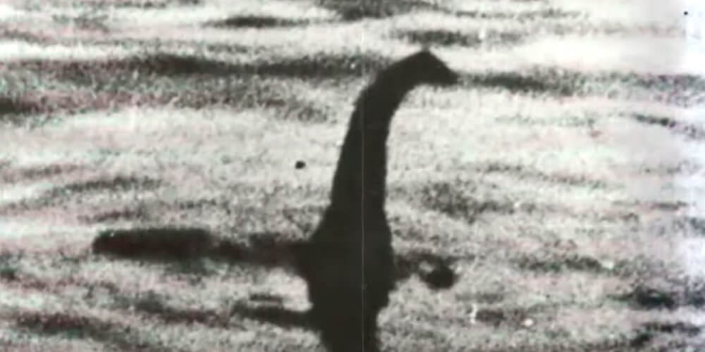 The Loch Ness Monster Might Just Be a Very, Very Large Eel