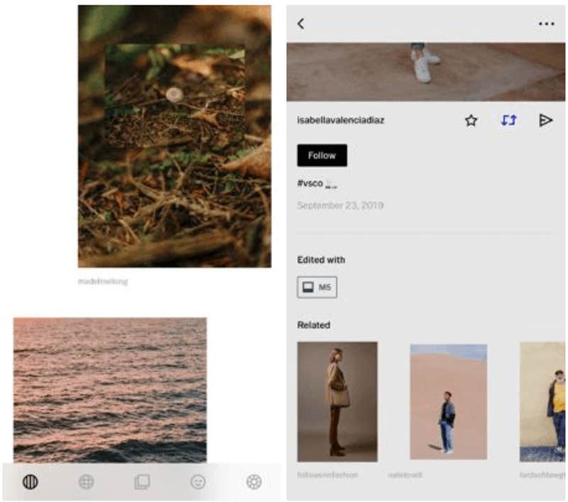 What Is VSCO? Everything You Need To Know About The Photo App
