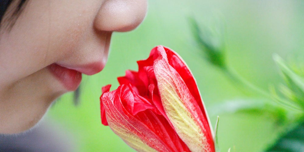 ai - Page 2 of 22 - The Daily Dot