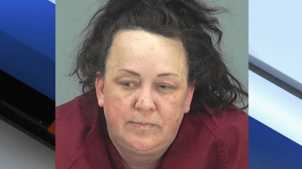 Fantastic Adventures YouTube Mom, Charged With Child Abuse, Dies