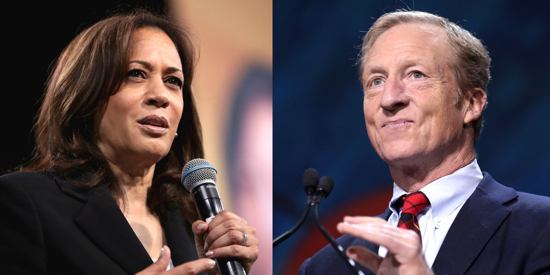 Tom Steyer - The Daily Dot