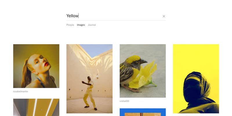 VSCO search: The ultimate guide to getting the most out of this feature