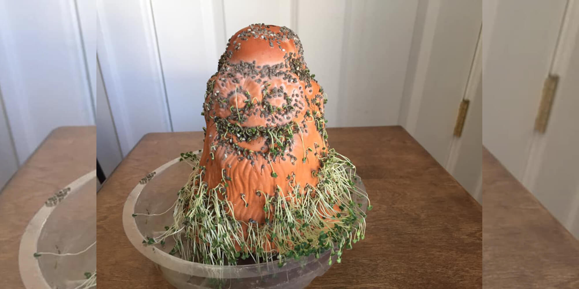 This Gritty Chia Pet Is Both Hilarious And Disturbing
