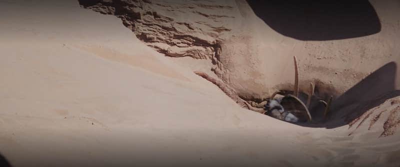 Star Wars Shafts and Pits: Why Are They So Easy to Survive in the Films?