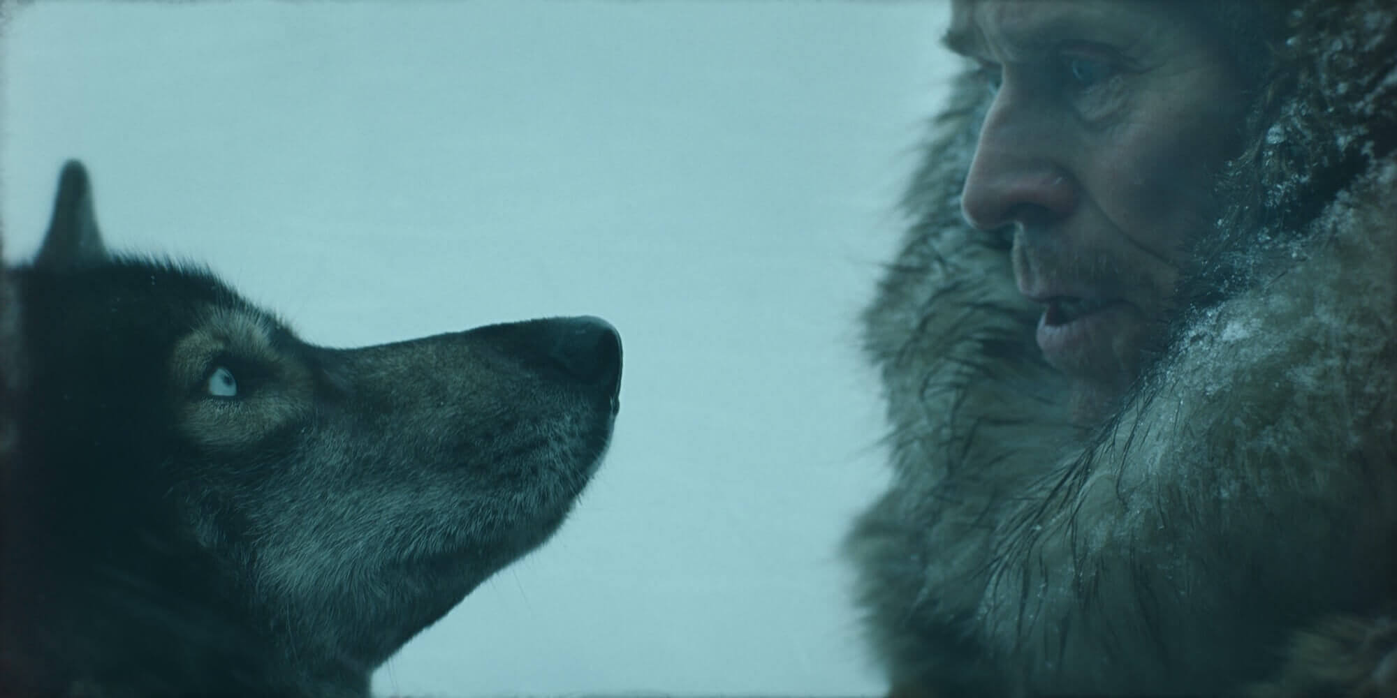 Review: 'Togo' Is the First Great Original Film to Hit Disney+