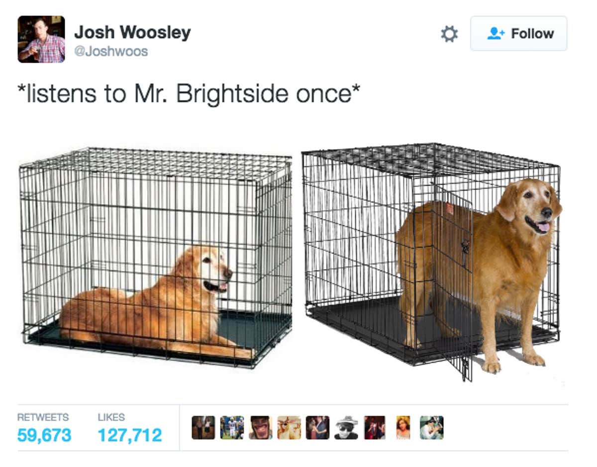 The Best Emo Memes for Reliving Your Middle School Glory Days