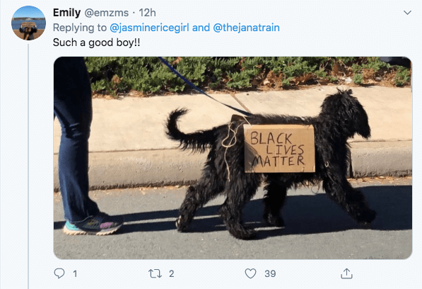 People Are Posting Photos of Dogs Protesting for Black Lives Matter
