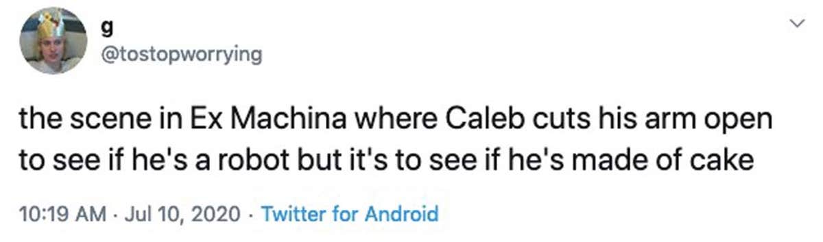 Cake Memes Teach Us That Anything Can Be Cake