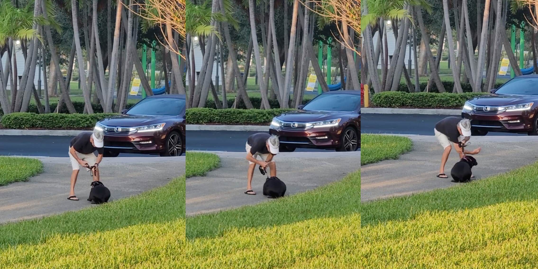 Viral Video Of Florida Man Abusing Dog Leads To Police Investigation