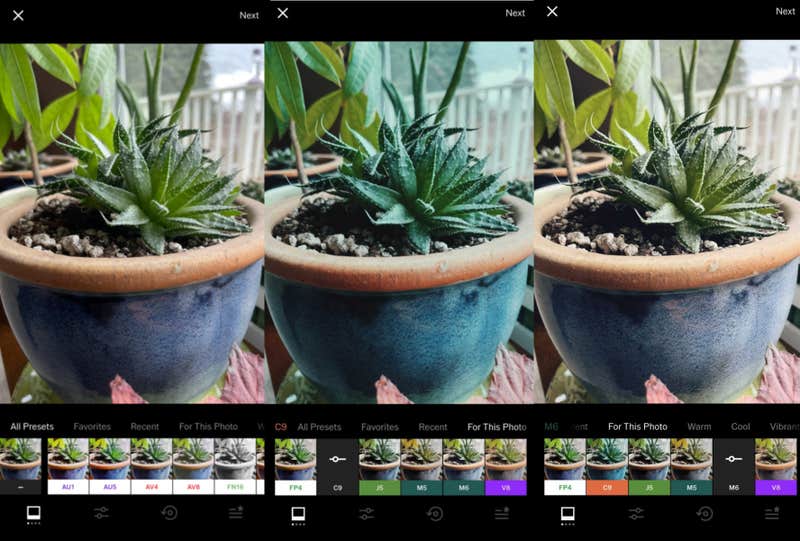 What Is VSCO? Everything You Need To Know About The Photo App