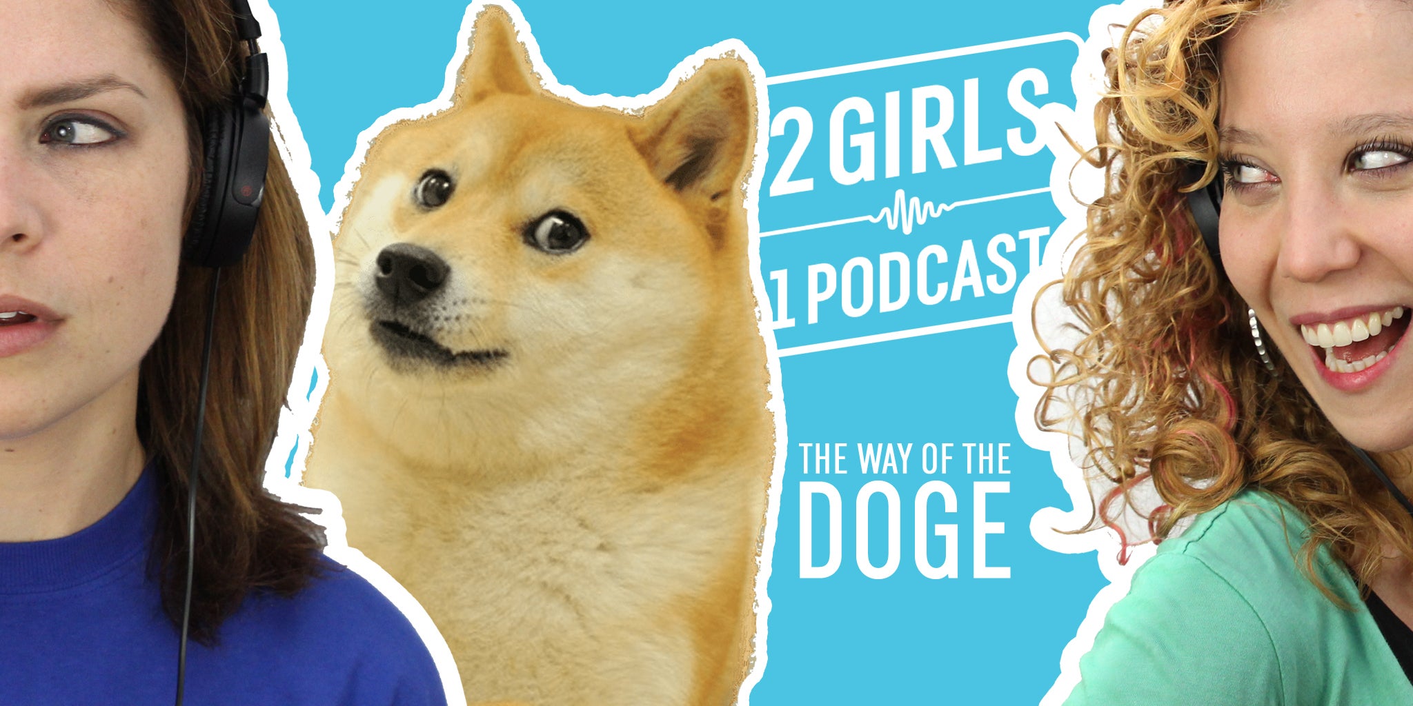 Doge - The Daily Dot